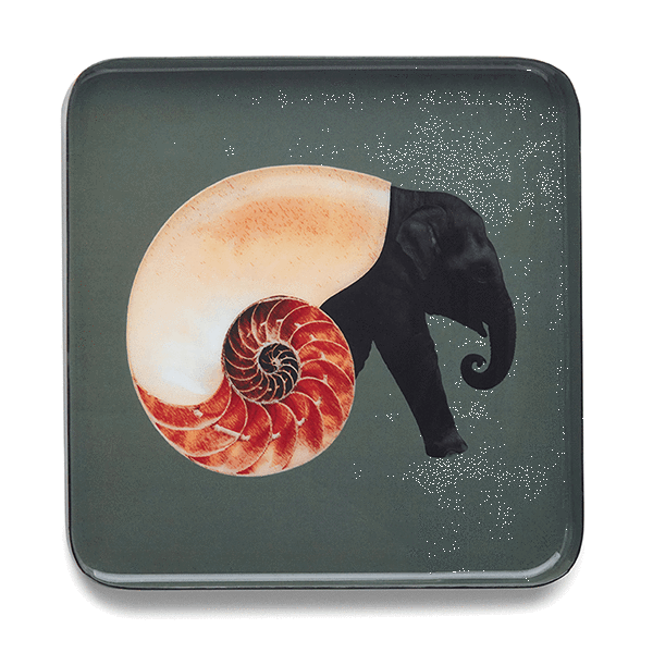 Gangzai Shellephant Square Trinket Tray | Journey East